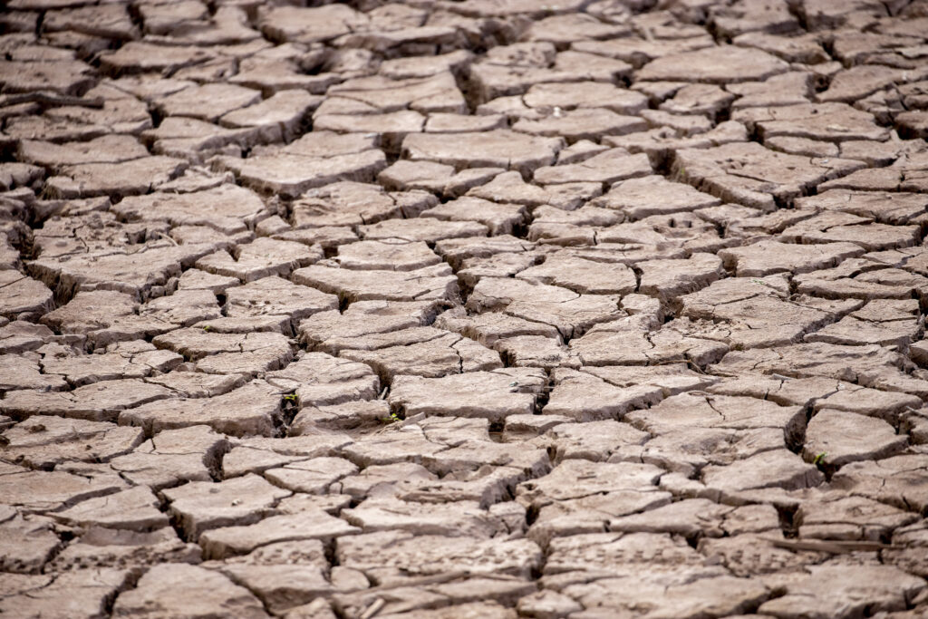 Quins són els 202 municipis del Principat afectats per les restriccions ...