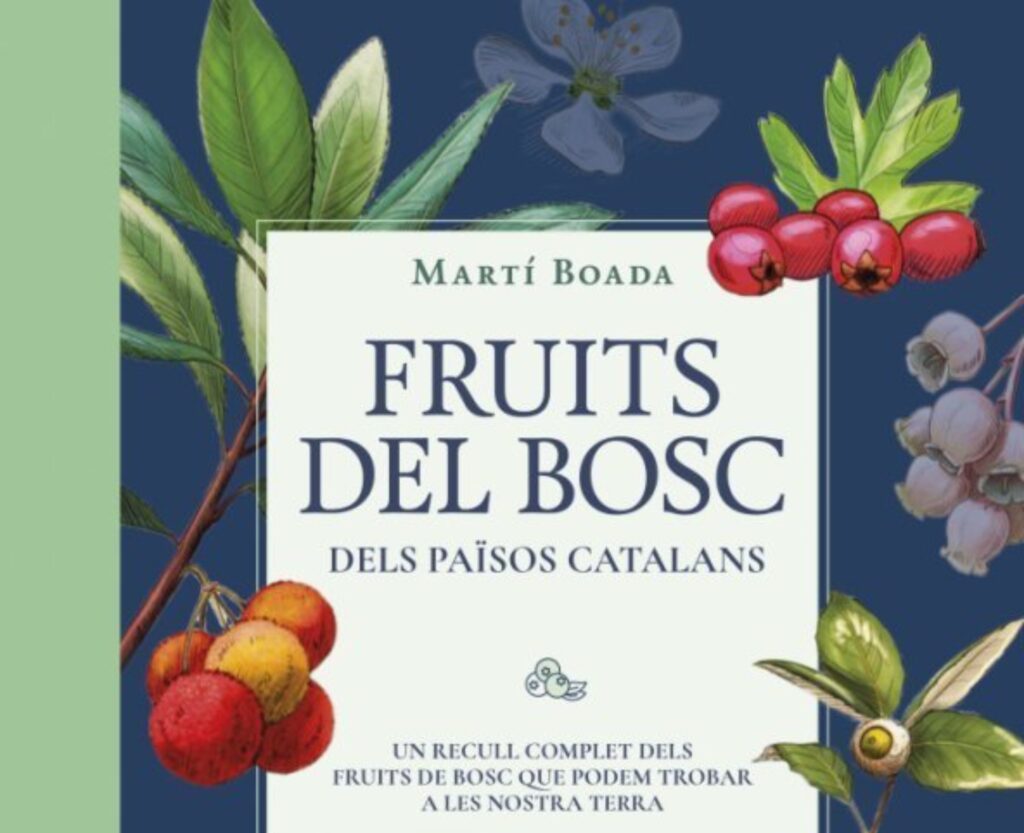 El passeig sensorial pels boscs dels Països Catalans que proposa el ...