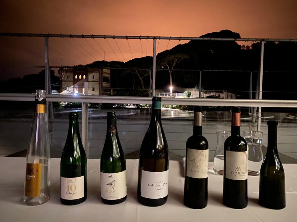 Vins de llarga criança d’Alta Alella mariden amb cinema i gastronomia