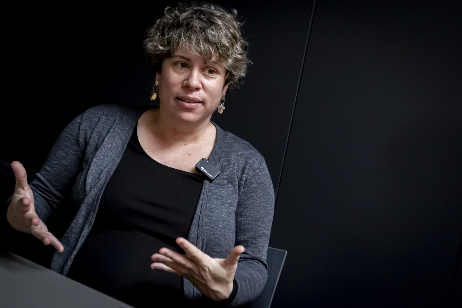 Maria Beltran: "En la detecció de les altes capacitats hi ha la idea ...