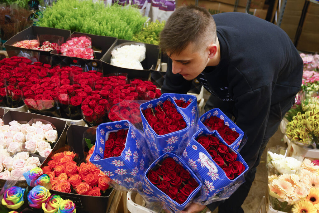 Milions de roses - VilaWeb